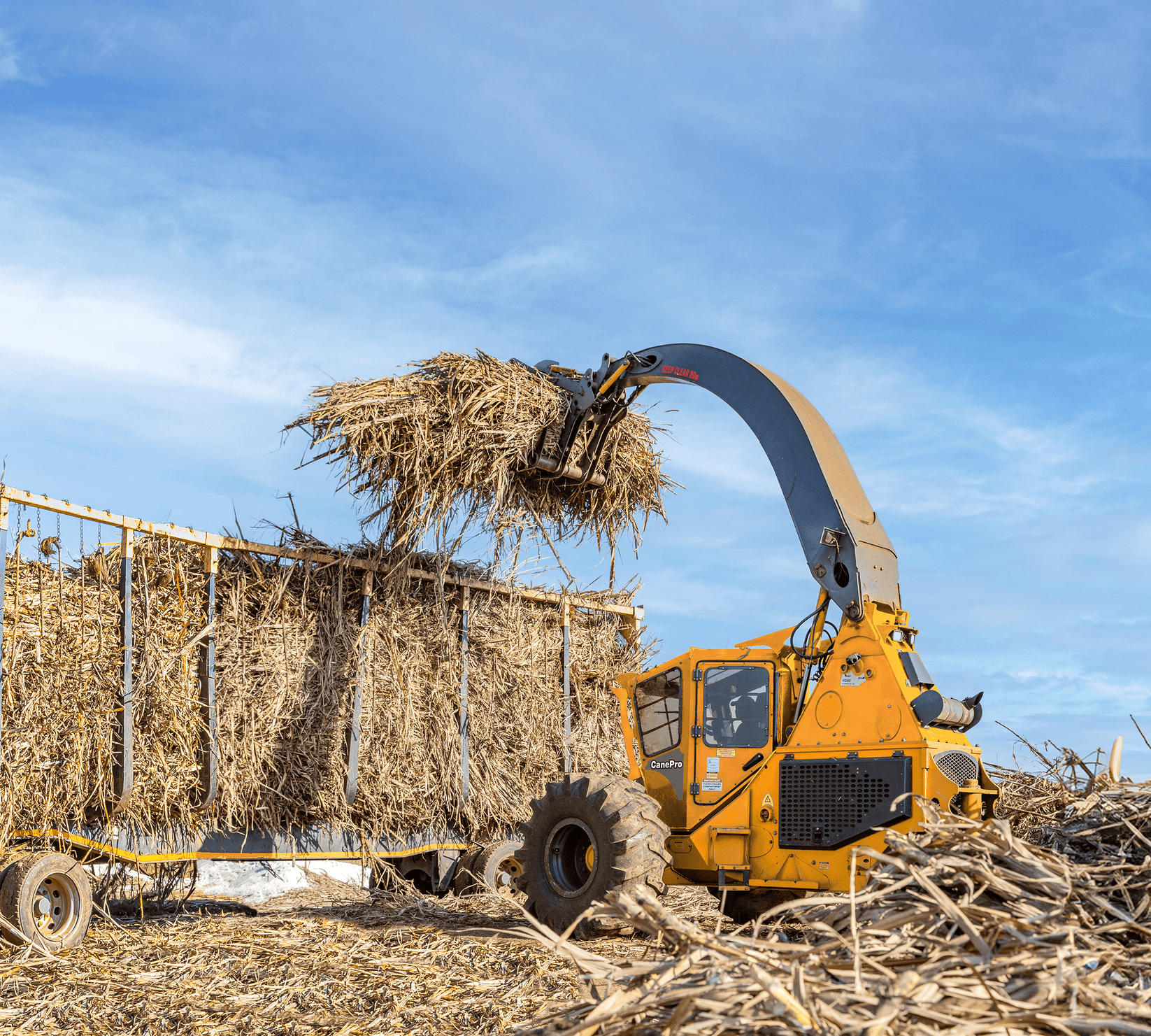 TRI-WHEELER,CANELOADER,125F – Edge Equipment Specialists