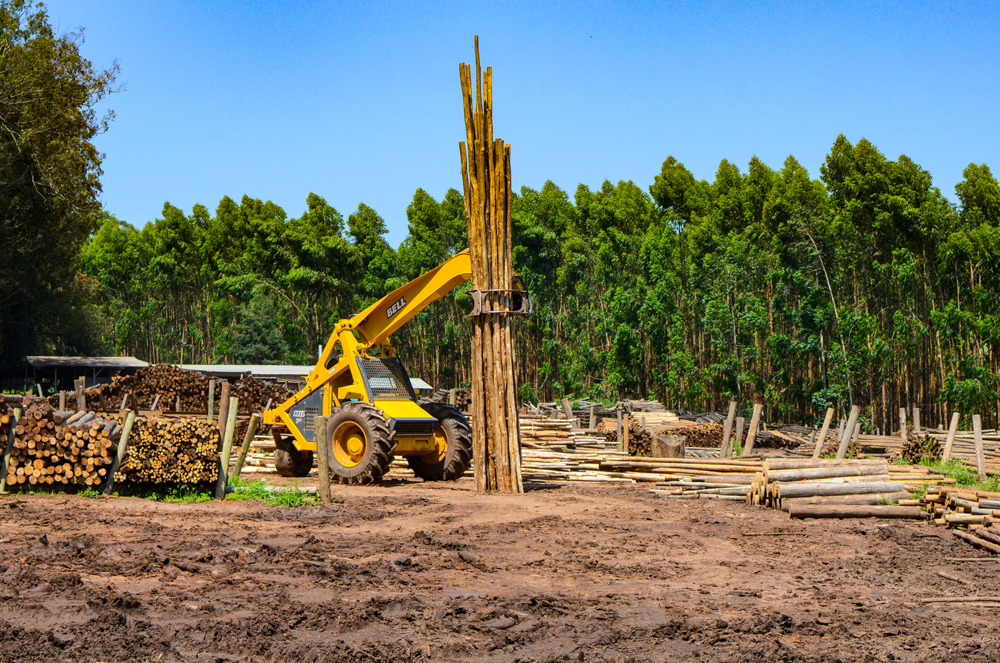 TRI-WHEELER,LOGGER,TURBO,225F (Deluxe spec) – Edge Equipment Specialists
